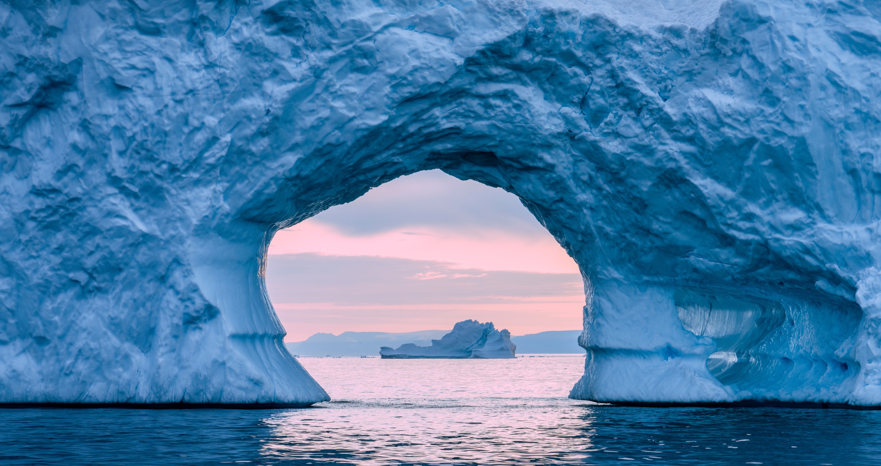 In A Surprising Twist Scientists Link Orcas To Rapid Ice Melting In ...