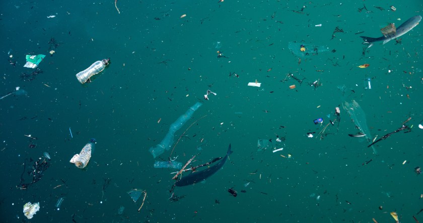 Now Some Scientists Are Arguing Against Removing Plastic From Our ...