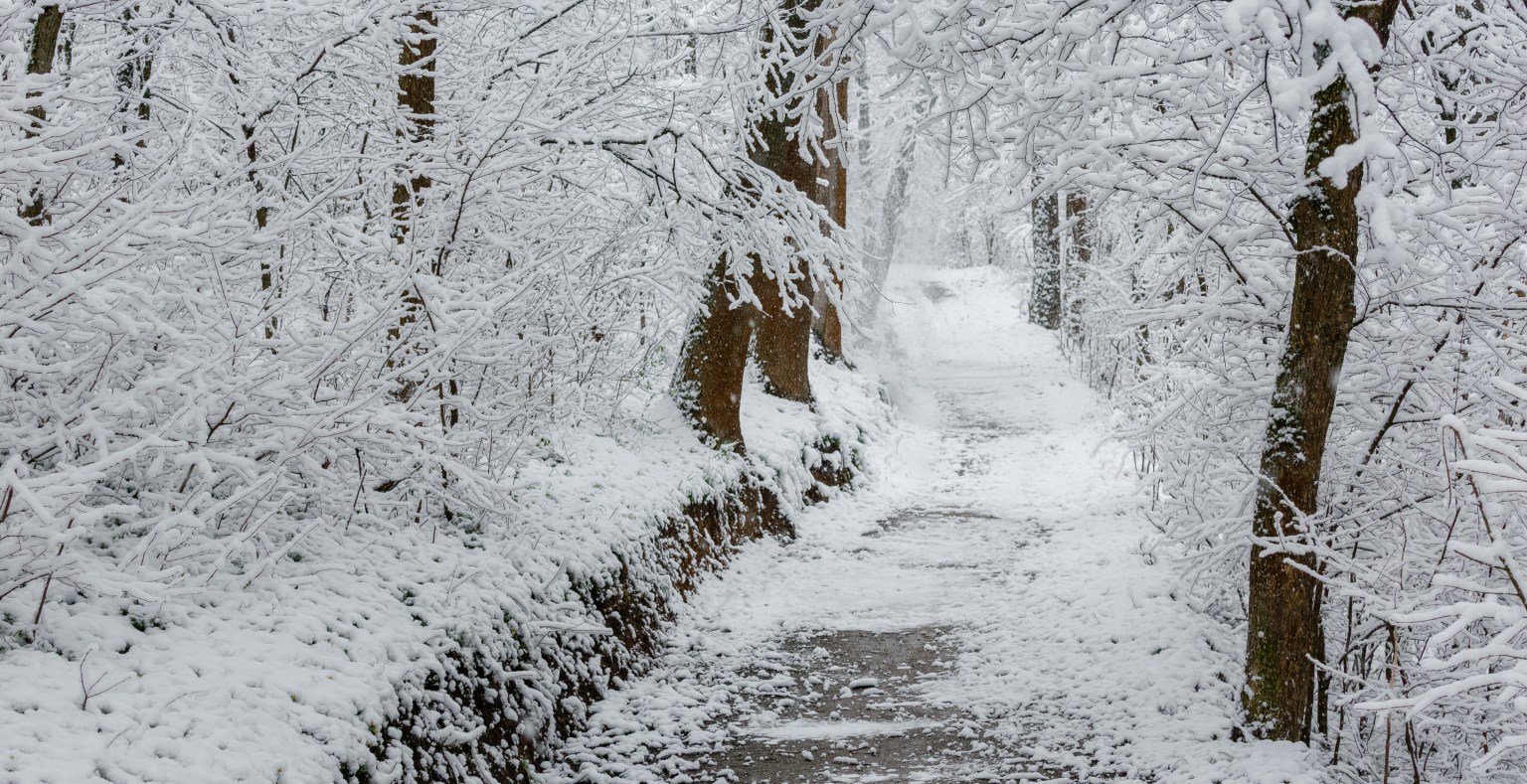 Ohio Runner Gets Frostbite on Ears After Running in -8 Degree Weather ...