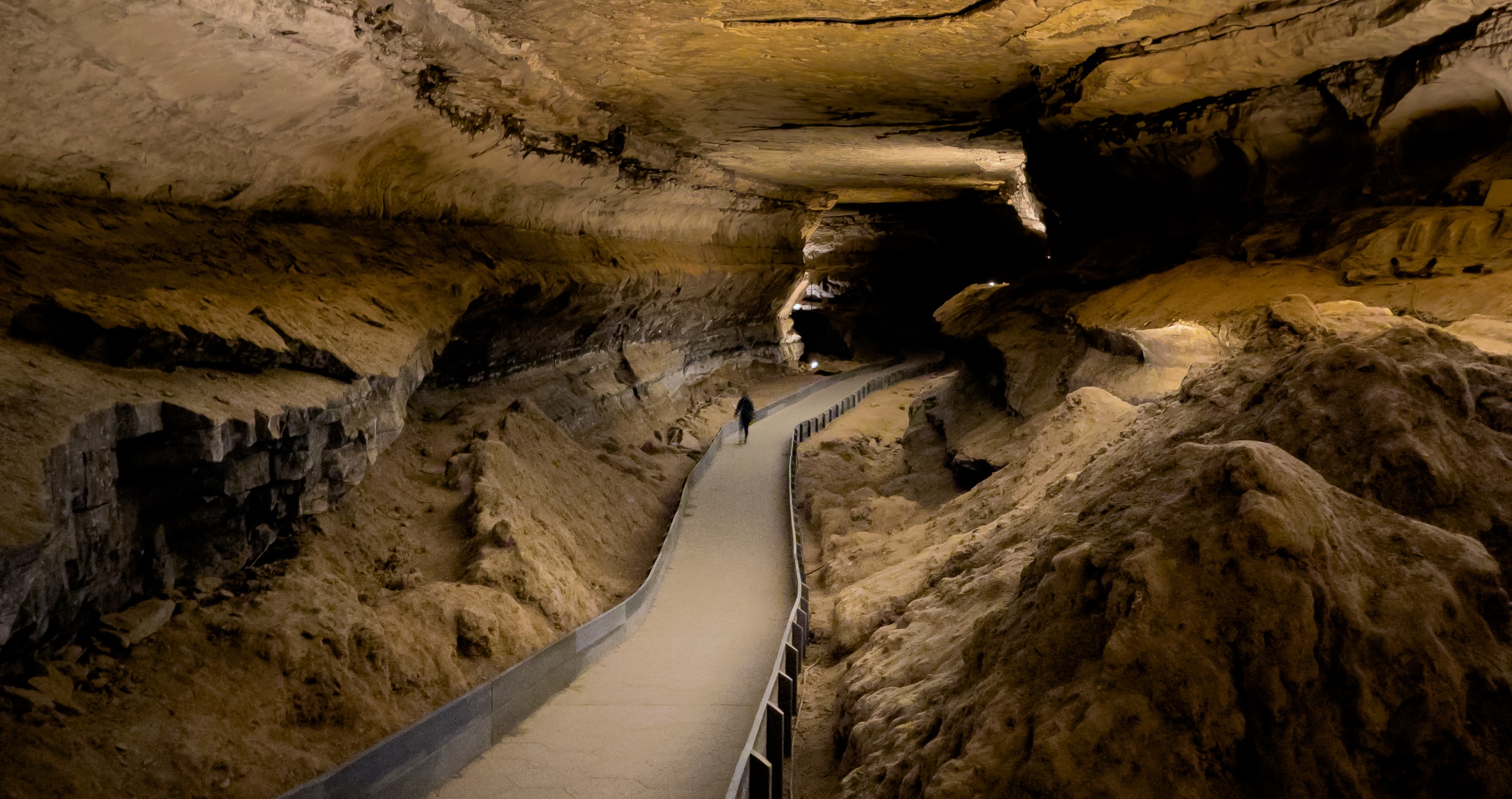 Scientists Discovered Two Extinct Predators In The World's Longest Cave ...