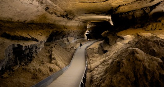 Scientists Discovered Two Extinct Predators In The World's Longest Cave ...