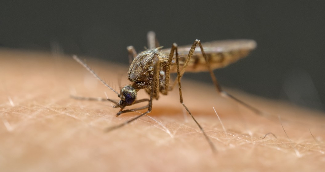 CDC Issues Travel Warning For Multiple Countries With High Risk For A ...