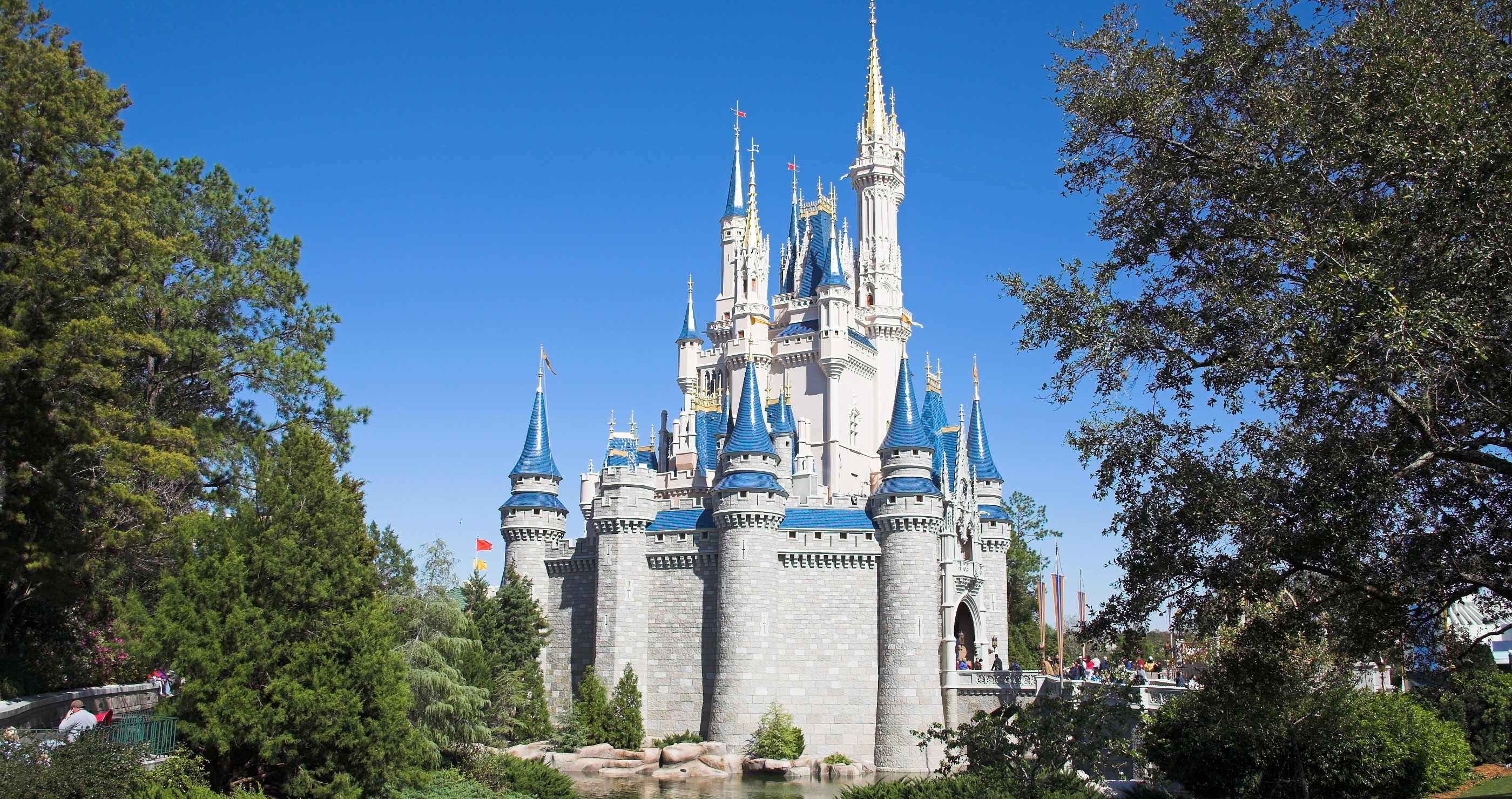 Disney World Is Now Dealing With An Endangered Missing Person Case ...