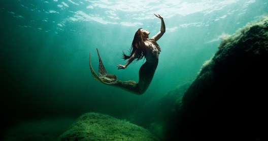 Report Reveals The Hidden Meaning Behind The Flight Code Word 'Mermaid ...